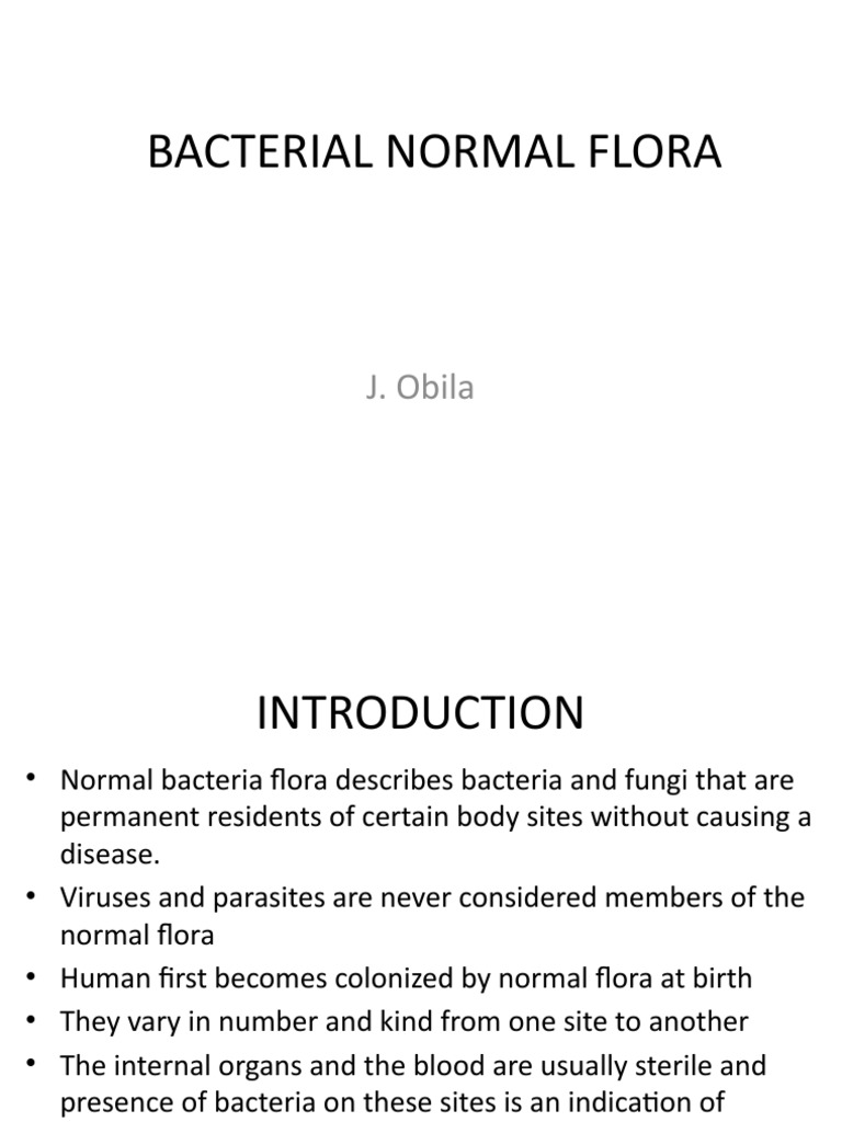 Bacterial Normal Flora | PDF | Gastrointestinal Tract | Staphylococcus
