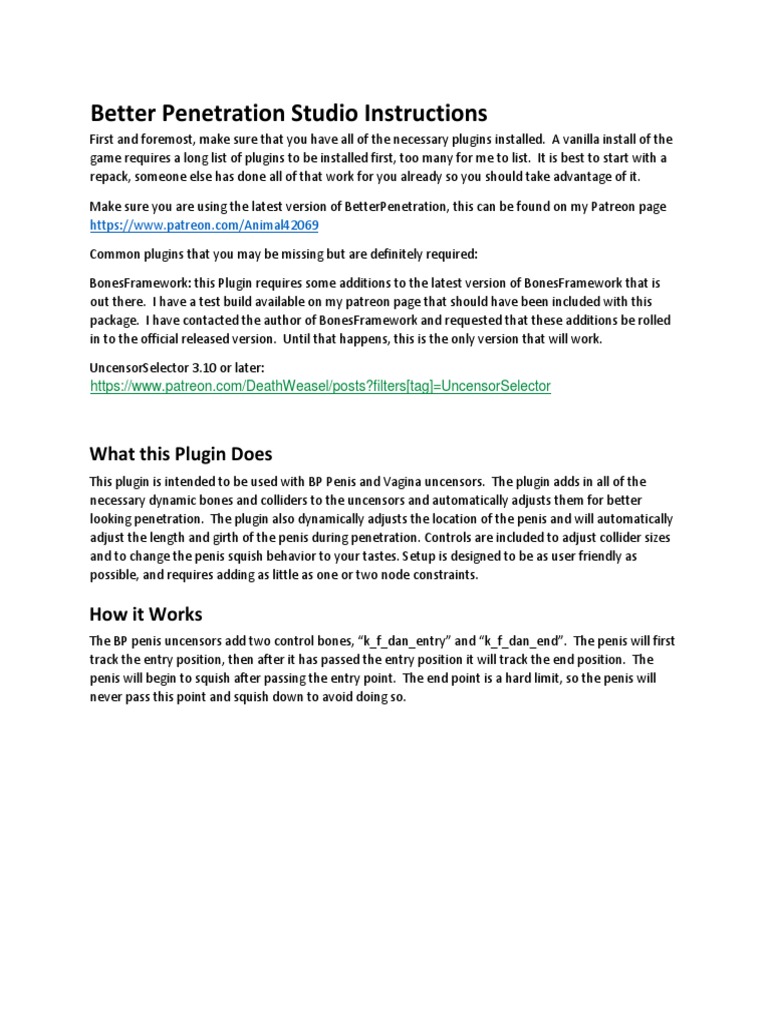 Better Penetration Studio Instructions | PDF | Computer Science | Software