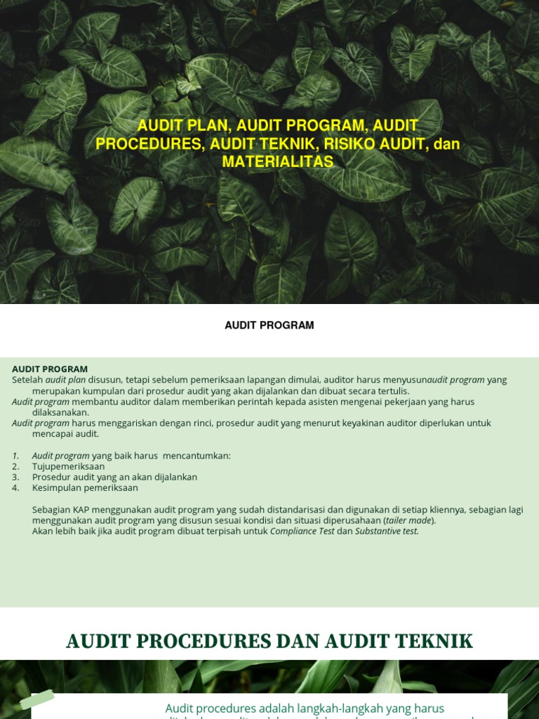 Sesi 10 AUDIT PLAN, AUDIT PROGRAM, AUDIT PROCEDURES, AUDIT TEKNIK ...
