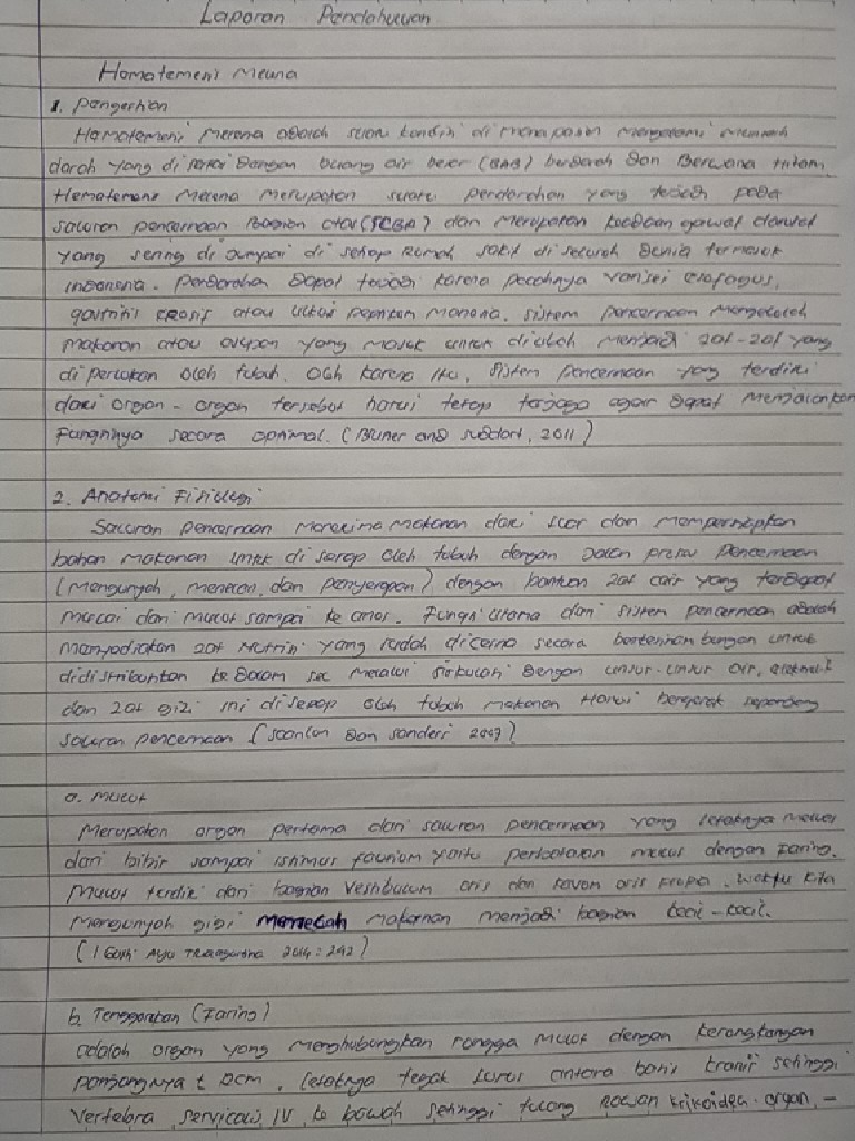 MyDoc 20 - 50 - 31 | PDF