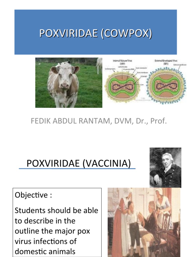 Cowpox Virus in Animals and Humans | PDF | Smallpox | Virus