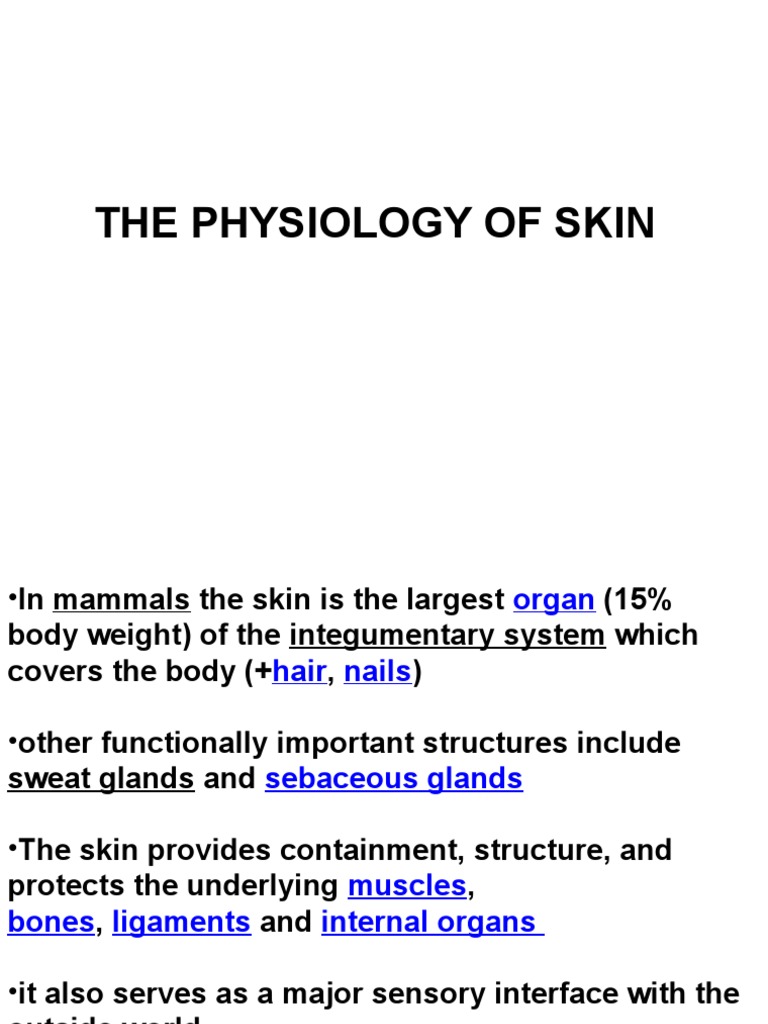 The Physiology of The Skin | PDF | Skin | Epidermis