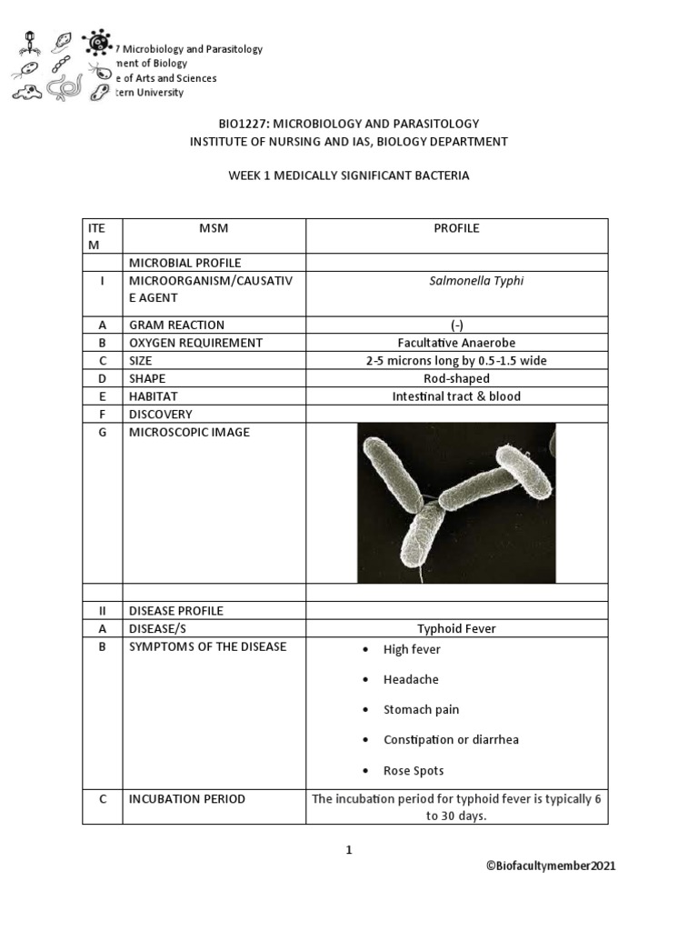 Week 1 Medically Significant Bacteria Template | PDF | Salmonella ...