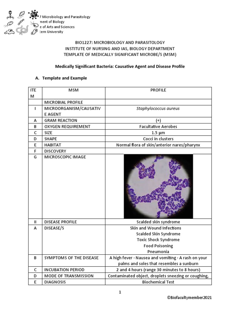 Example and List of Medically Significant Bacteria | PDF | Prokaryote ...
