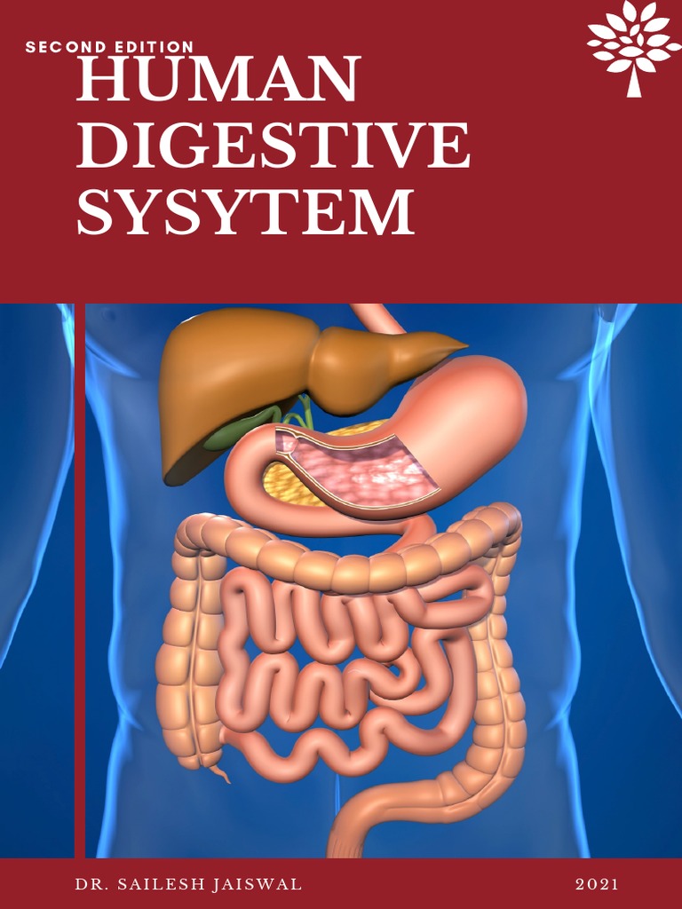 Human Digestive System Guide | PDF | Wellness | Science & Mathematics