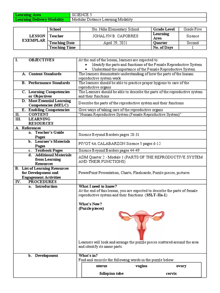 Human Reproductive System (Female Reproductive System) | PDF | Uterus ...