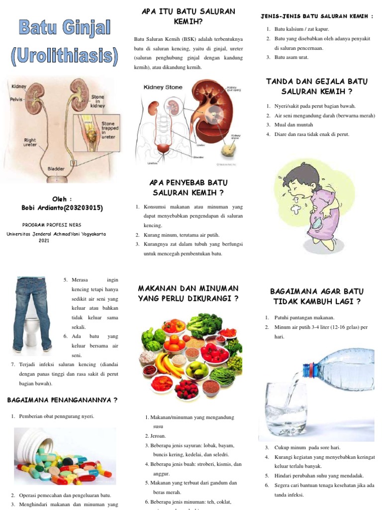 Leaflet Batu Saluran Kencing | PDF