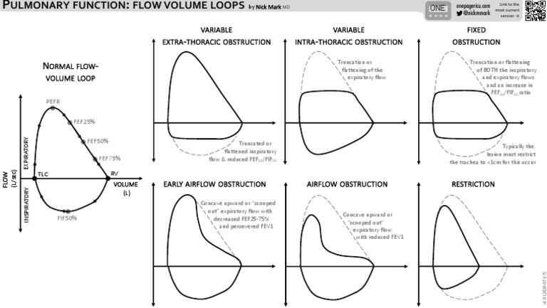 ICU One Pager Flow Volume Loops | PDF | Exhalation | Physiology