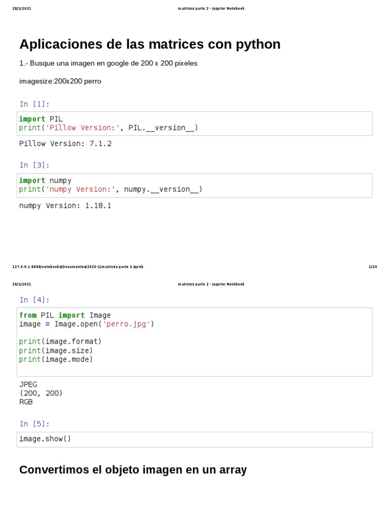 Matrices Parte 2 - Jupyter Notebook | PDF | Computer Programming | Data Processing