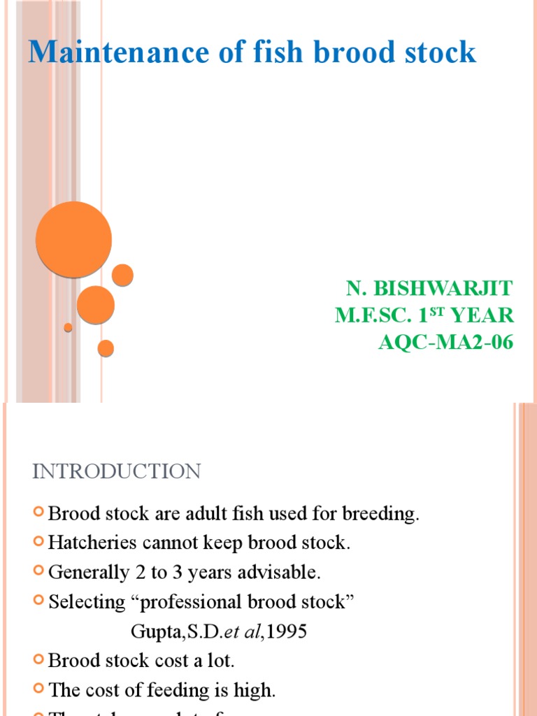 Brood Stock MGT | PDF | Aquaculture | Nature
