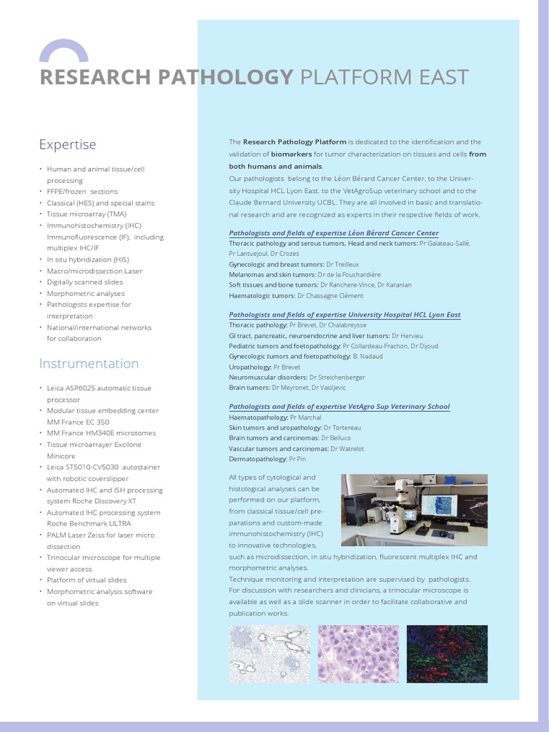 FSLC Fiche AnapathEst | PDF | Fixation (Histology) | Pathology