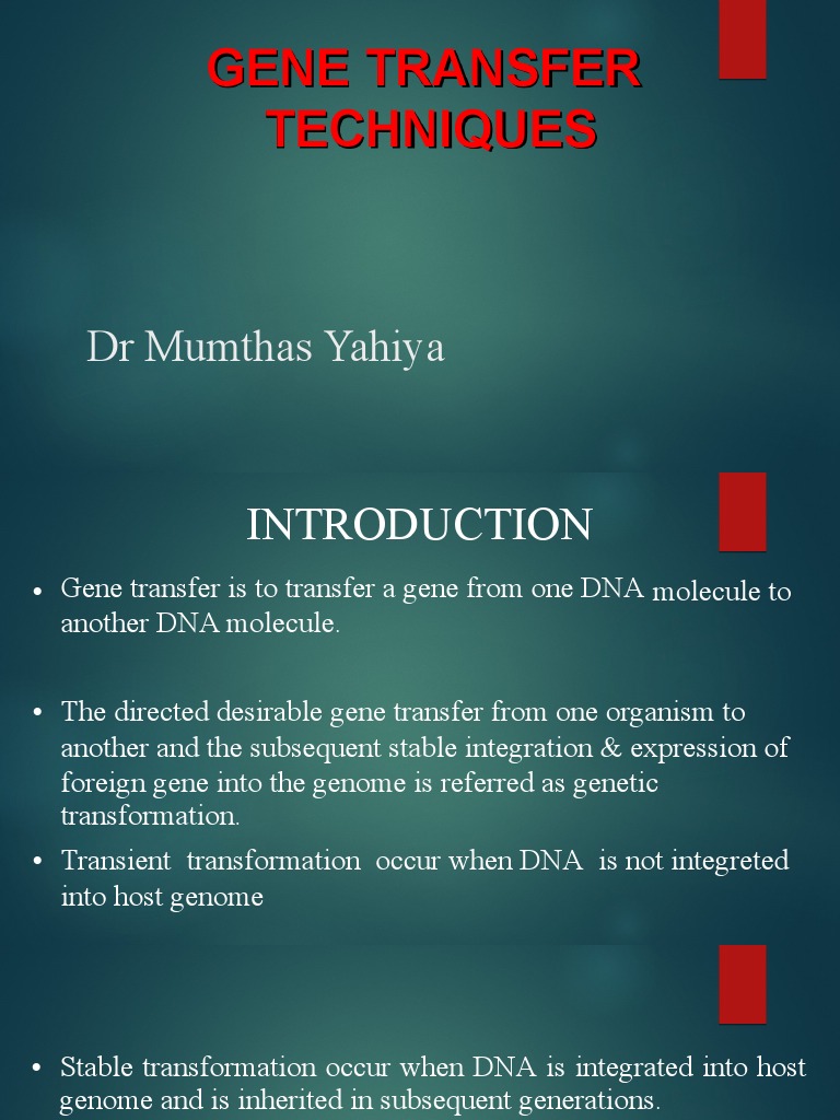 Gene Transfer Techniques | PDF | Transformation (Genetics) | Plasmid