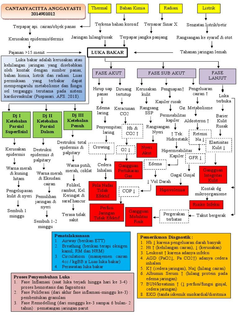 Woc Luka Bakar | PDF