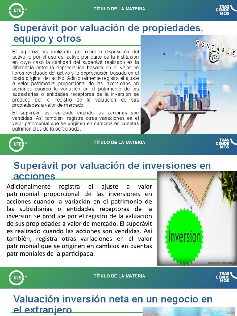 Descriptivo Patrimonio y Resultados-Superavit Lema Sharon | Compartir ...