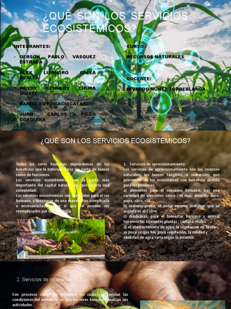Presentación 2 | PDF | Biodiversidad | Ecosistema
