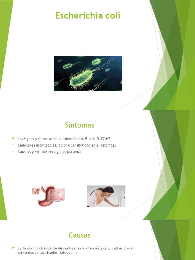Escherichia Coli | PDF | Salud y bienestar