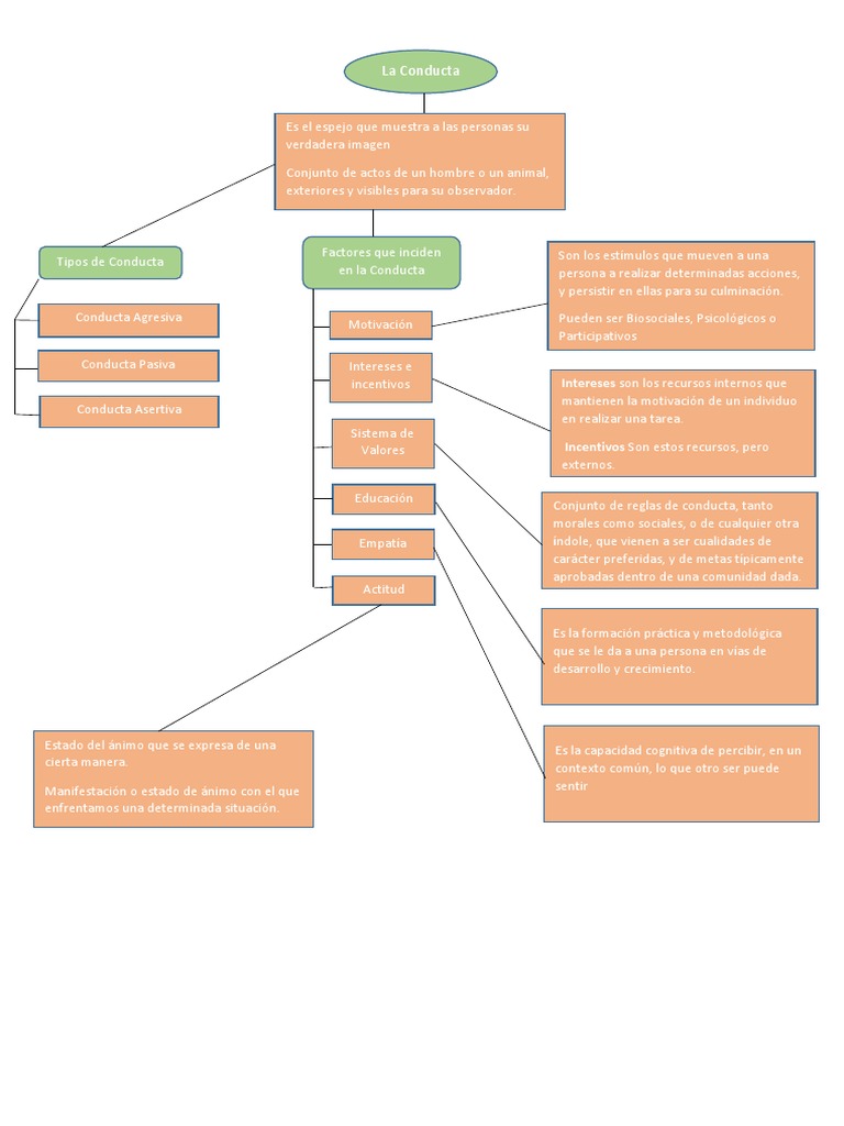 Mapa Conceptual La Conducta | PDF | Comportamiento | Motivación
