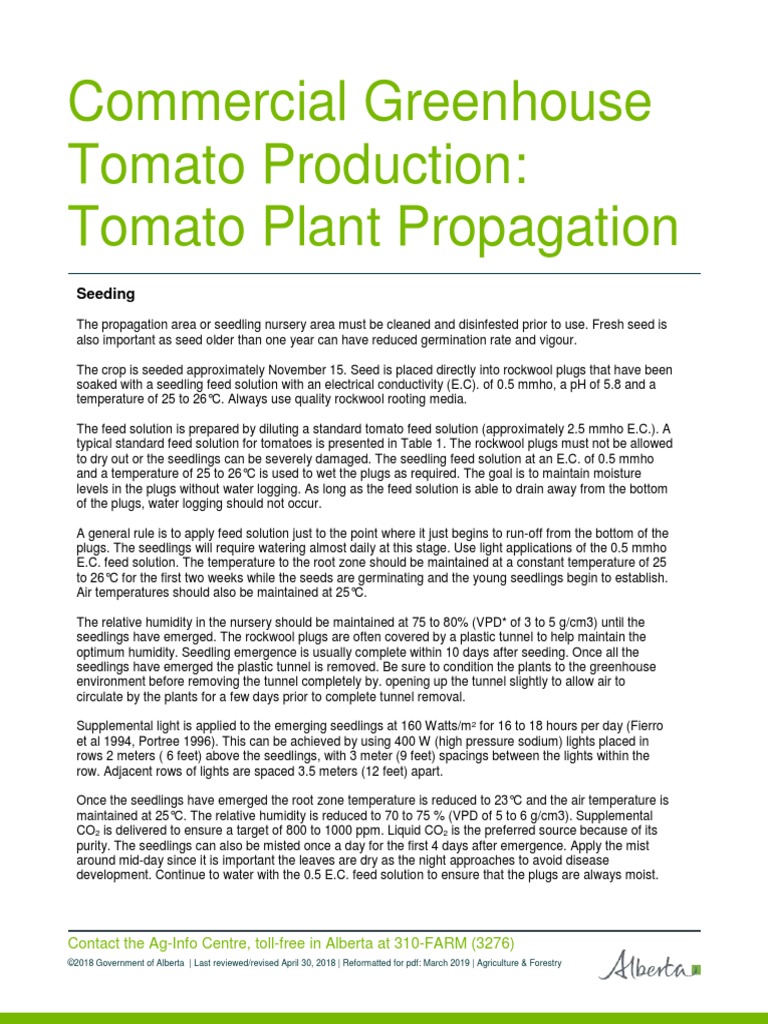 Commercial Greenhouse Tomato Production: Tomato Plant Propagation | PDF ...
