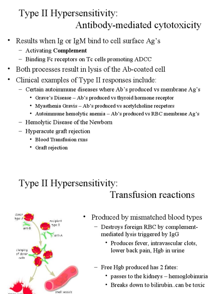 Type Ii Hypersensitivity: Antibody-Mediated Cytotoxicity: - Results ...