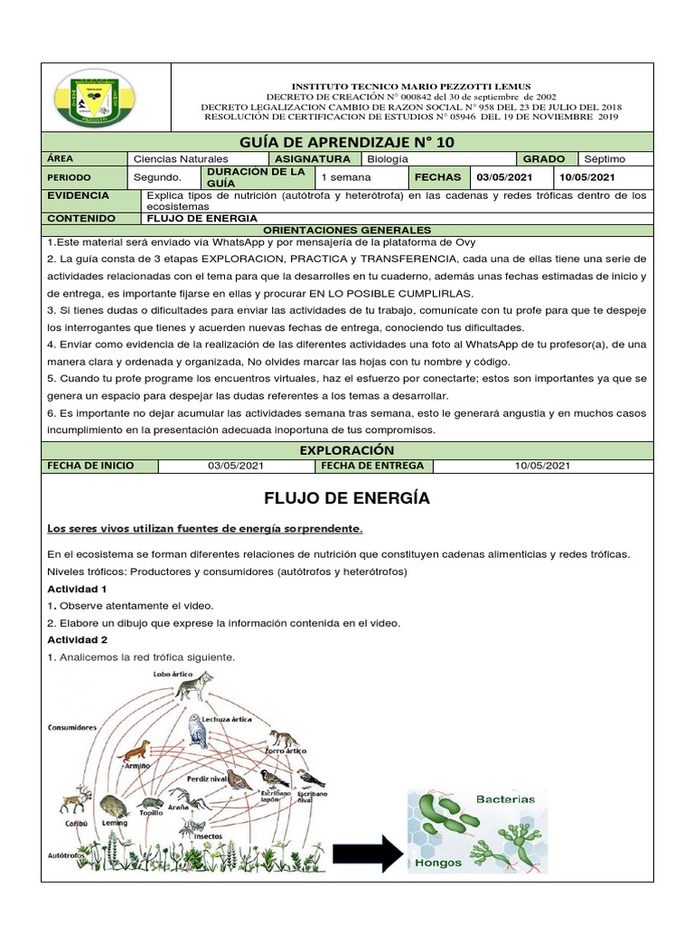 Guía de Biología: Nutrición y Energía | PDF | Red alimentaria ...