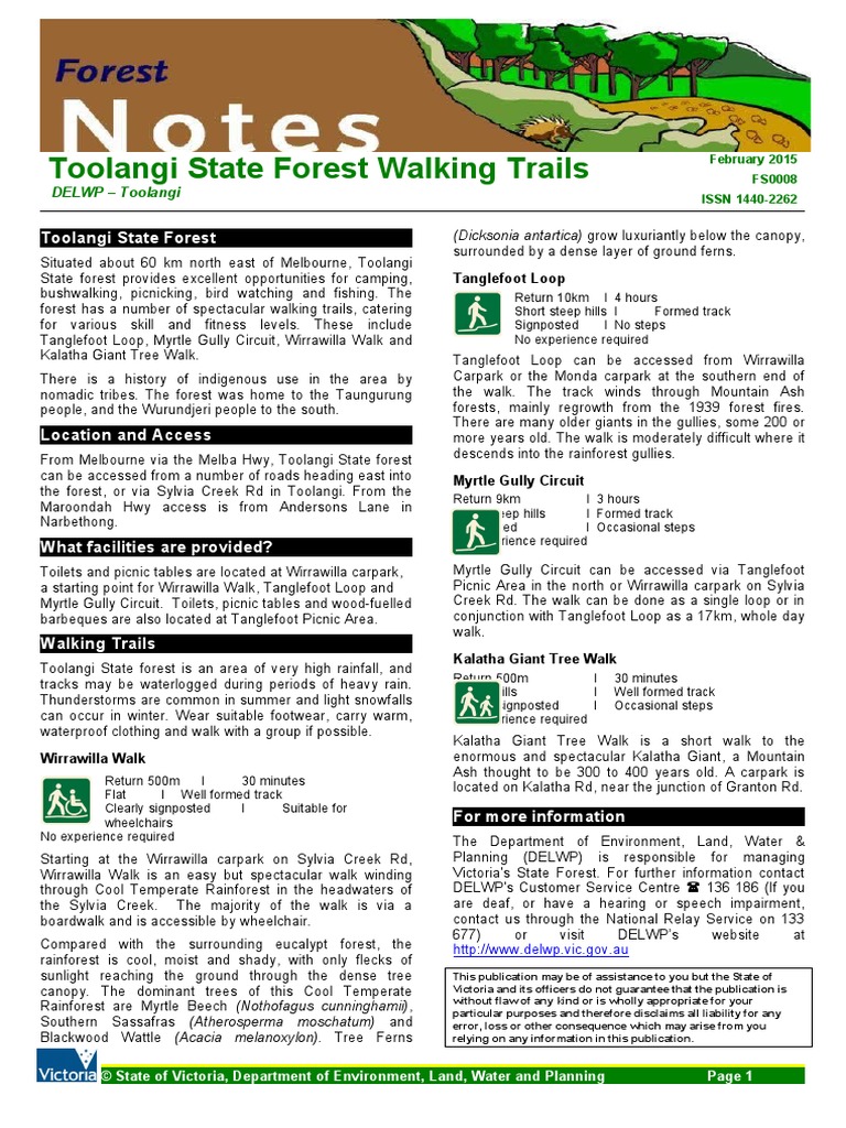 FS0008 Toolangi State Forest Walking Trails | PDF | Trees | Plant Life Form