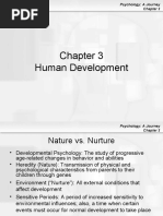 Neurotransmitters and Its Food Sources | PDF | Pickling | Norepinephrine