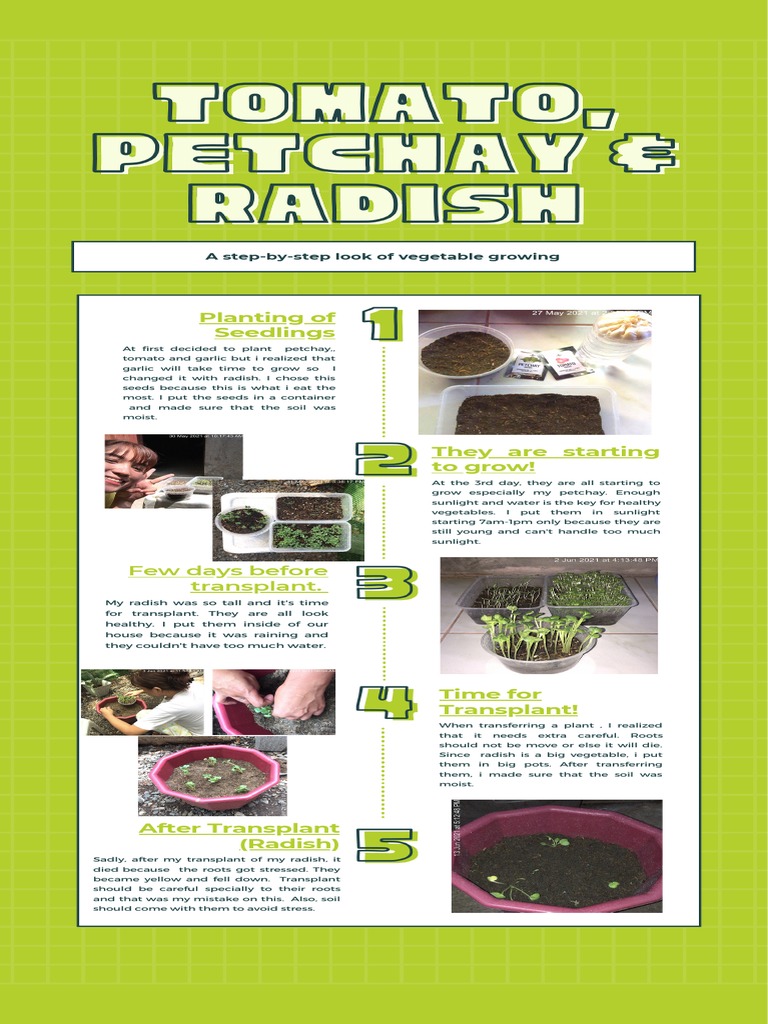 A Step-By-step Look of Vegetable Growing | PDF | Seedling | Landscape ...