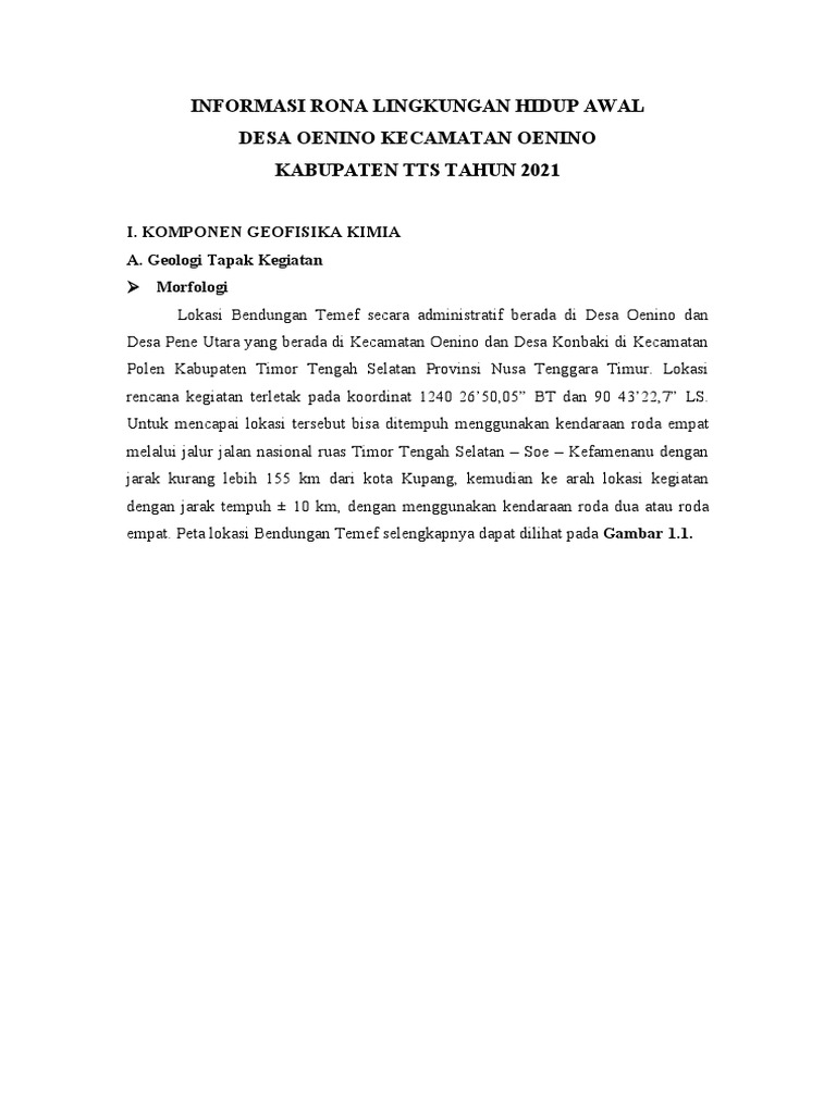 Informasi Rona Lingkungan Hidup Awal | PDF