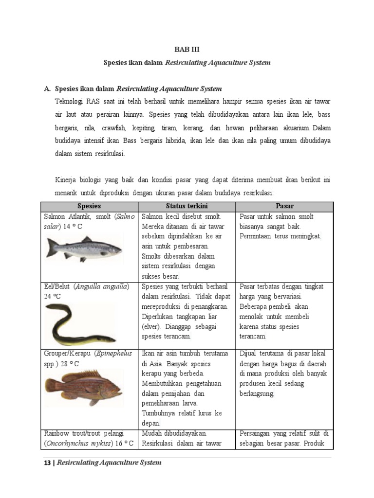 Bahan Bacaan 3. Spesies Ikan Dalam Ras | PDF