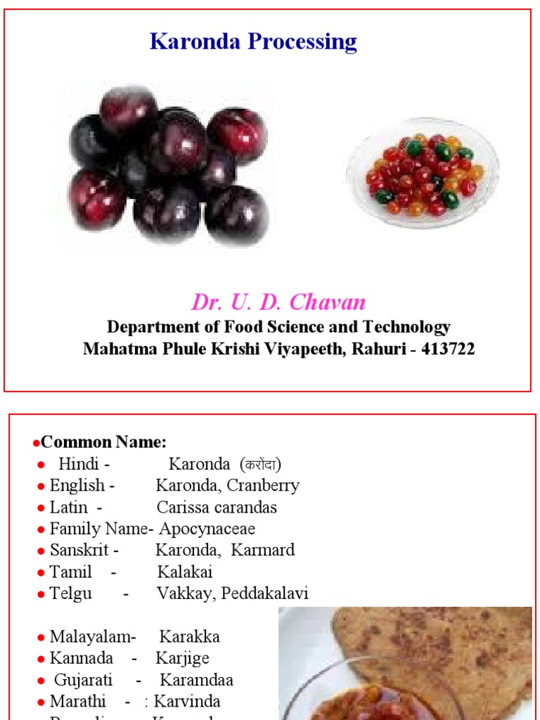 Karonda Processing: Dr. U. D. Chavan | PDF | Fruit Preserves | Plants