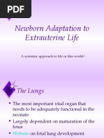 African Lungfish Aestivation Survival | PDF | Lung | Gill