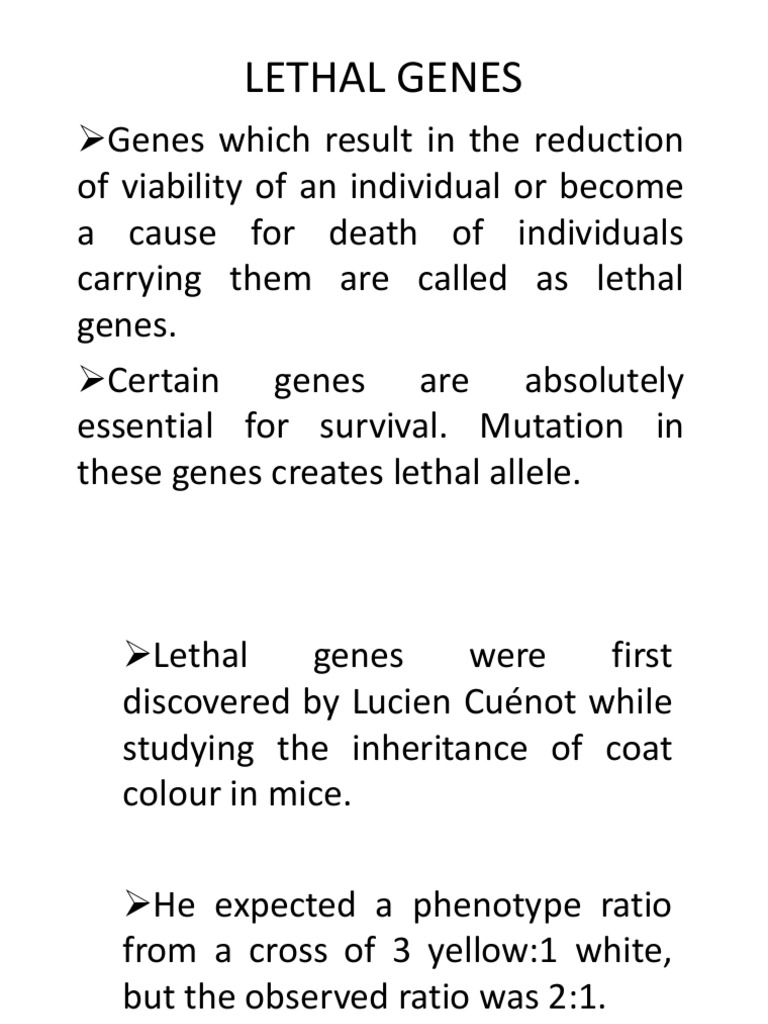 Lethal Genes | PDF | Allele | Dominance (Genetics)