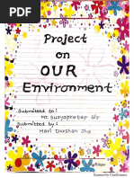 Project On Our Environment For Class 10 | PDF | Food Web | Ecosystem