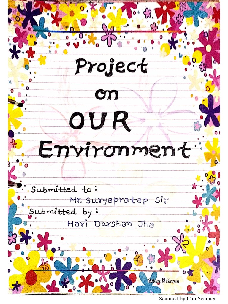 Class 10th Science Project File (Our Environment) | PDF