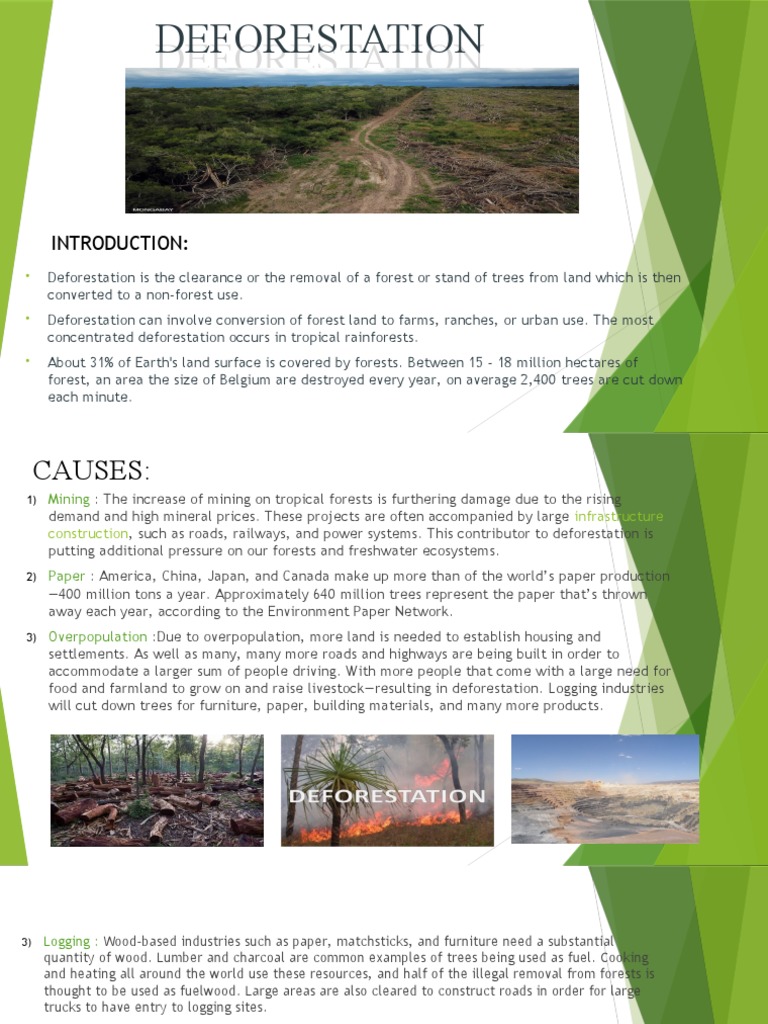 Deforestation Project Pdf Deforestation Rainforest