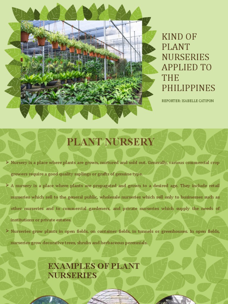 Kind of Plant Nurseries Applied To The Philippines | PDF | Plant ...