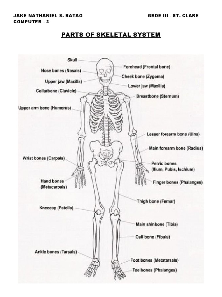 Jake Nathaniel S. Batag | PDF