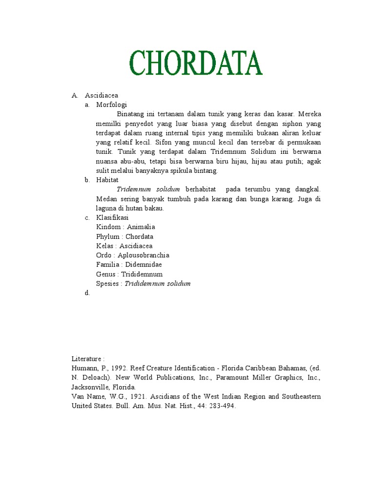 Trididemnum Solidum | PDF