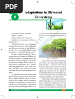 Shell Classification: Using A Dichotomous Key | PDF | Bivalvia | Mollusca