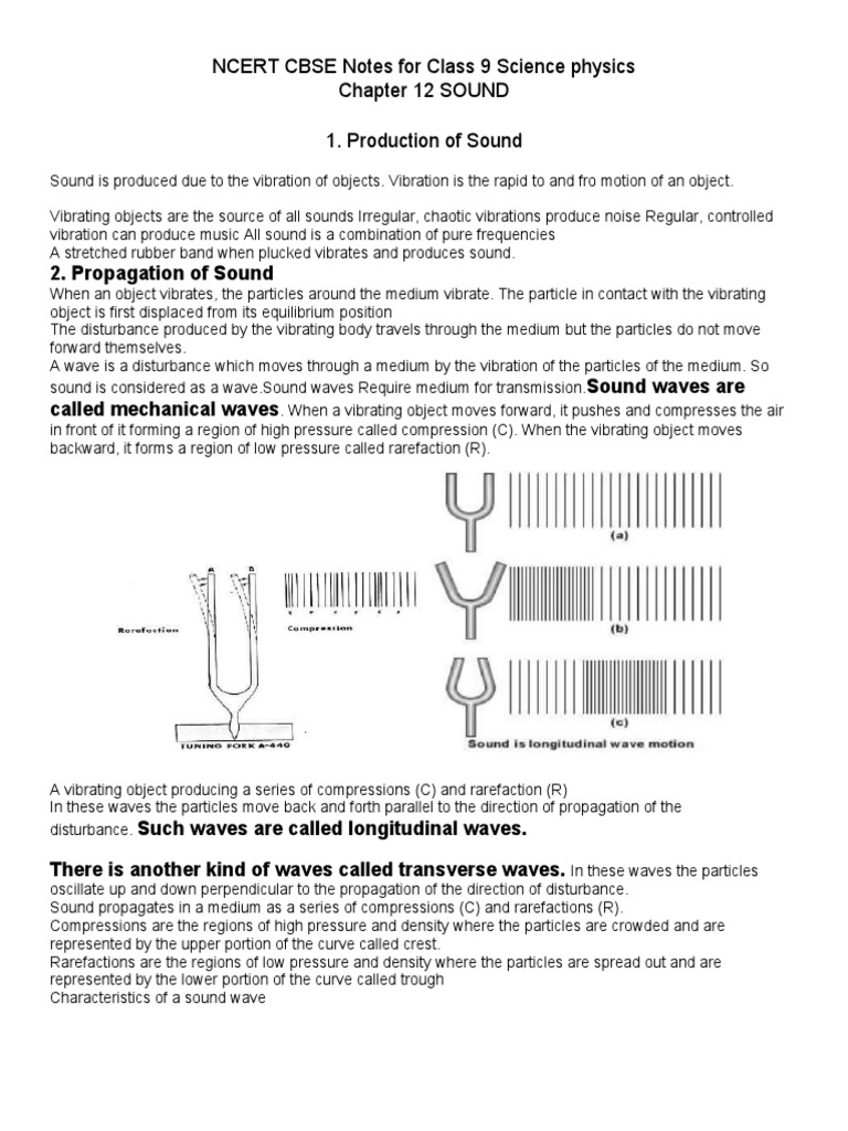 Class 9 Science: Chapter 12 Sound Notes | PDF | Sound | Waves
