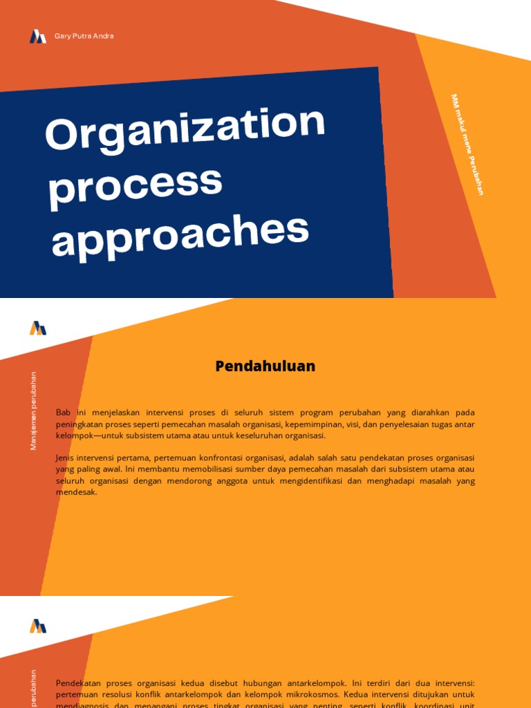 Organization Process Approaches | PDF