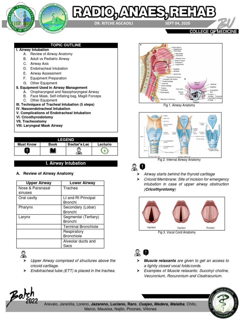 Anes Airway-Intubation | PDF | Respiratory Tract | Respiration