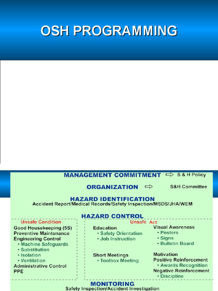 An Overview of Occupational Safety and Health Programming Elements and ...