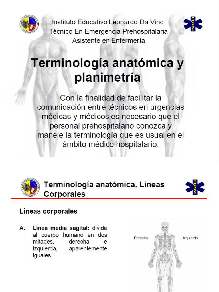 Terminología Anatómica y Planimetría. | PDF | Intestino grueso | Hígado