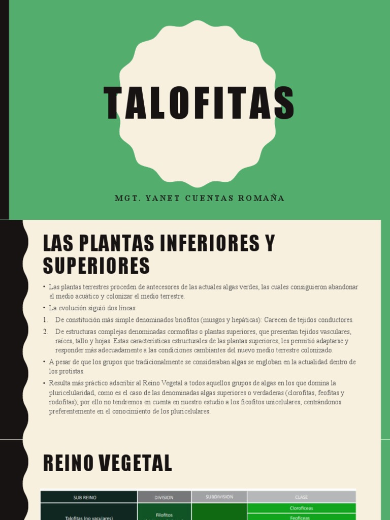 Introducción a las Talofitas | PDF | Reproducción sexual | Hongo