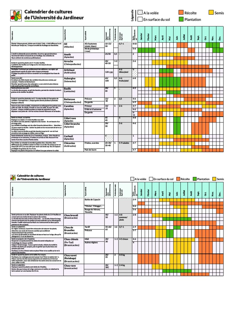Calendrier de Cultures 1-v4 | PDF | Concombre | Oignon