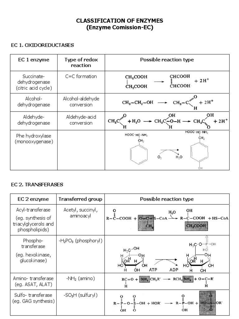 Classification of Enzymes (Enzyme Comission-EC) | PDF