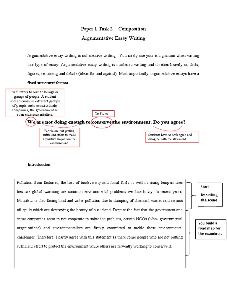 Paper 1 Task 2 Argumentative Essay | PDF | Environmentalism | Pollution