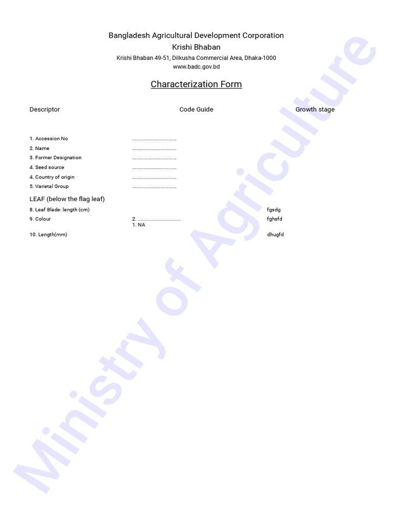 Characterization Form | PDF