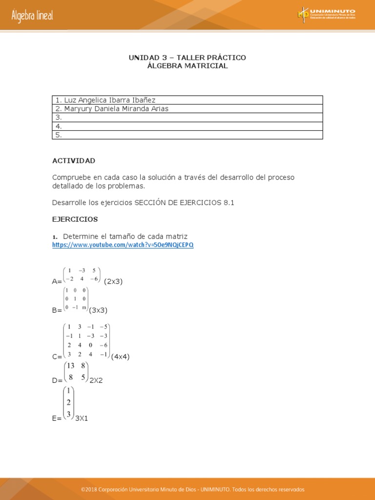 Actividad 4 - Algebra Matricial | PDF | Teoría de la matriz | Álgebra
